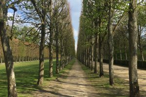 Visit Compiègne: A walk through the imperial city – Time off around the ...